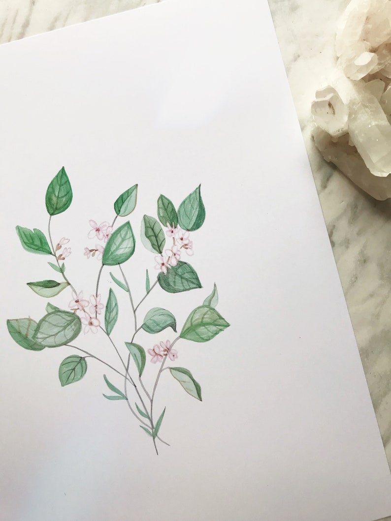 Mayflower Print, Wildflower Print, Plant Print, Floral Art, Flower ...