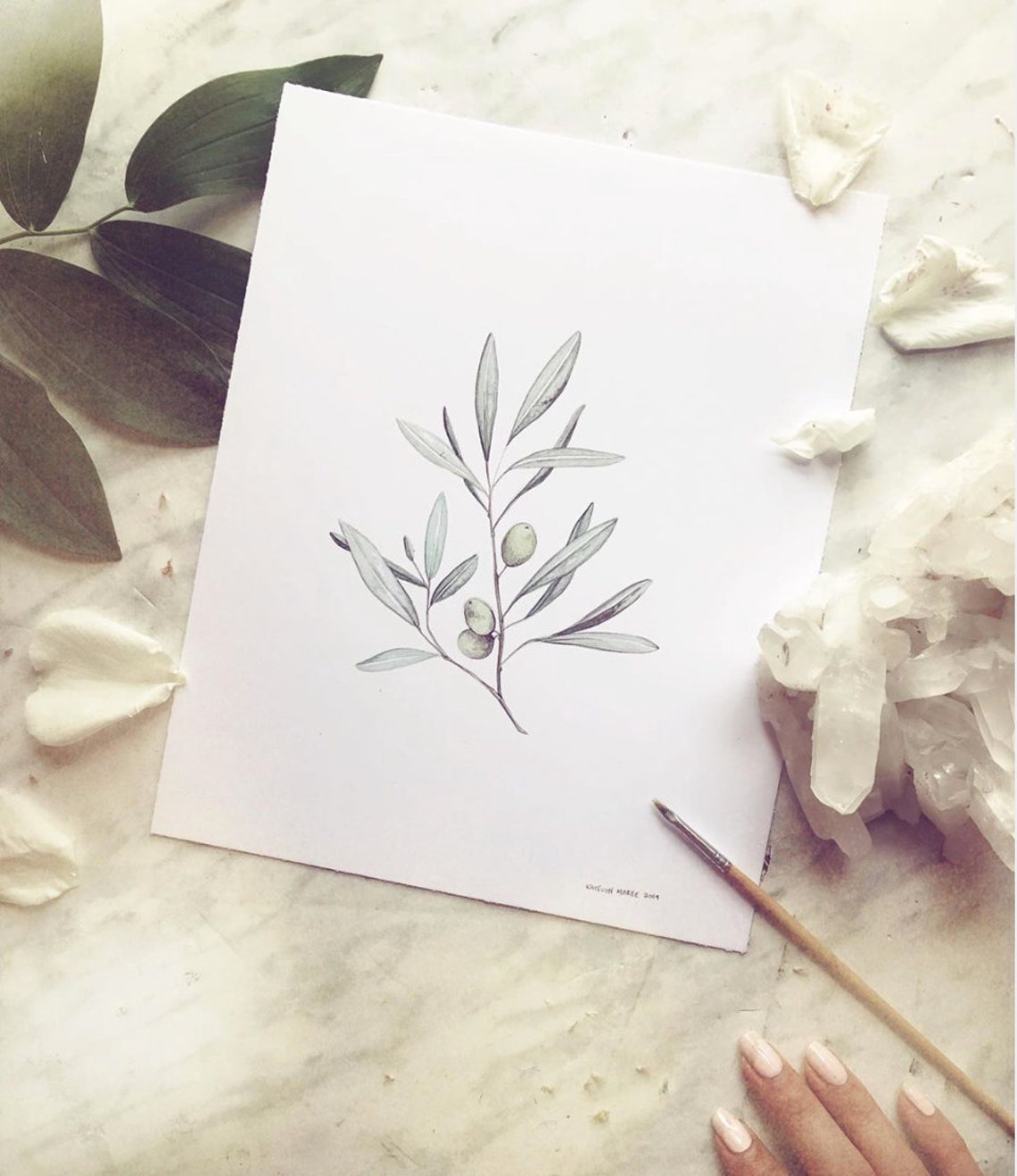Olive Branch Print Botanical Art Olive Art Minimal Plant - Etsy