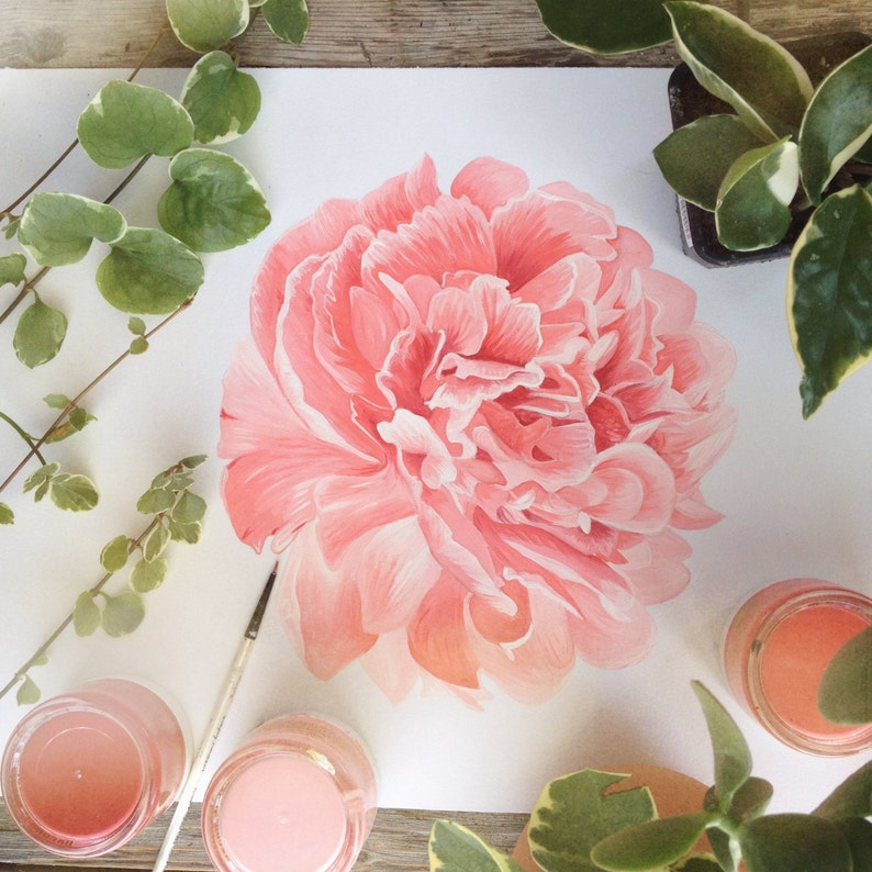 Pink Peony Print Pink Flower Print Botanical Art Floral - Etsy