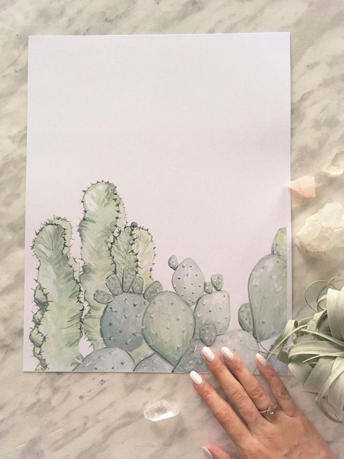 Cactus Print Plant Print Cactus Art Desert Art Cactus - Etsy Canada
