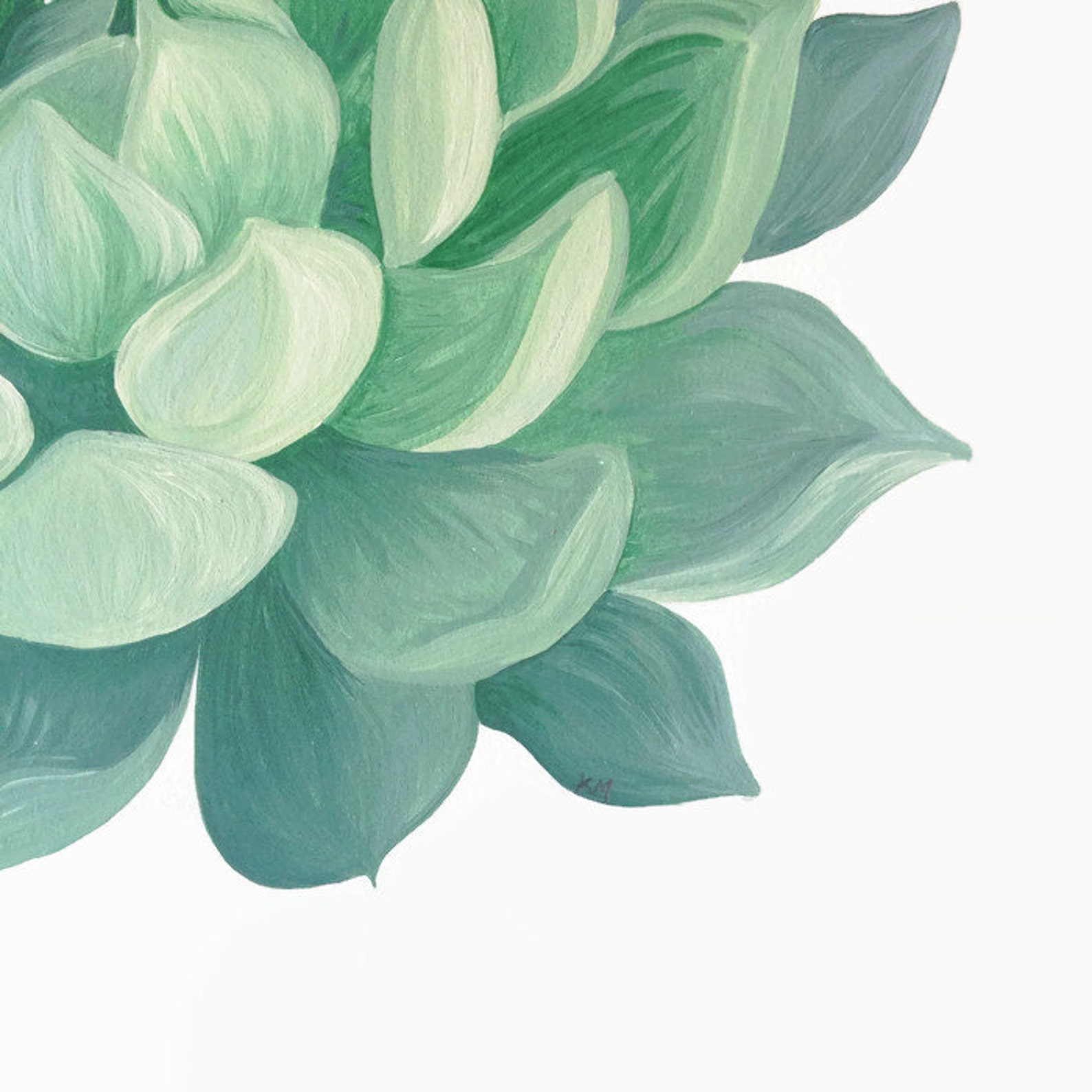 Succulent Print Botanical Wall Art Succulent Artwork Plant | Etsy