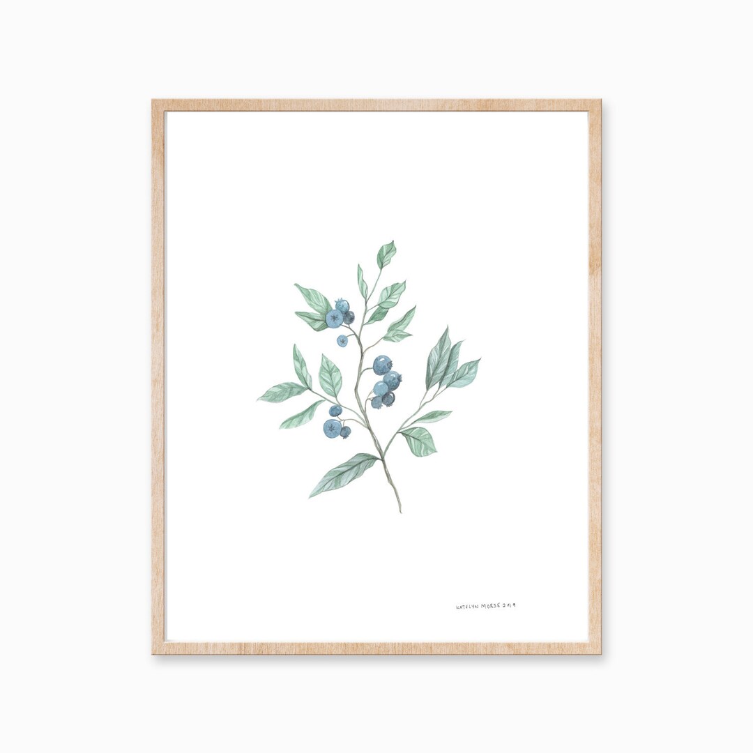 Blueberry Print, Plant Print, Vintage Botanical Art, Blueberry Art ...
