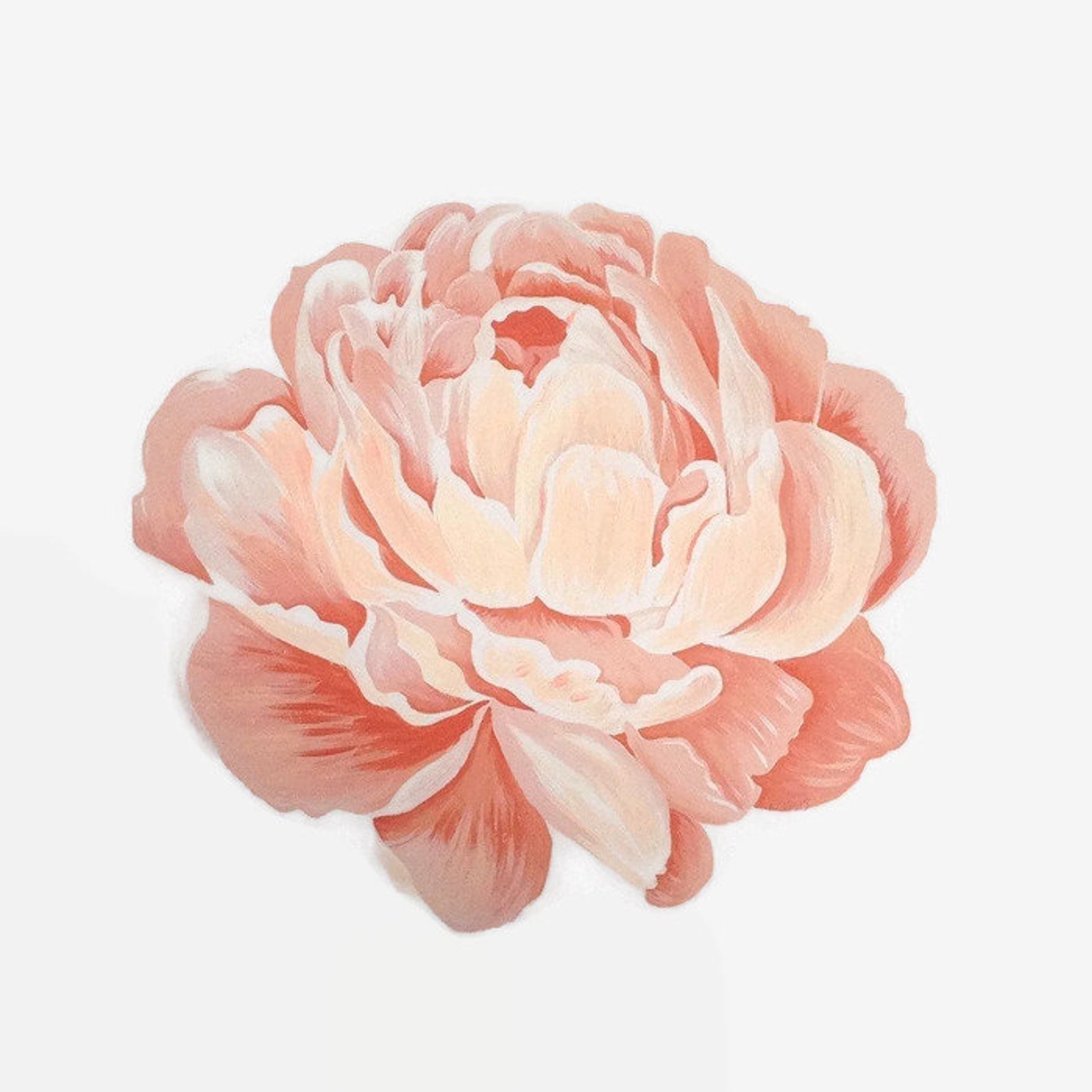 Pink Peony Print Coral Flower Print Peony Artwork Floral - Etsy Canada