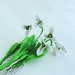 Snowdrops Hair Pins Snowdrops Hair Floral Snowdrops Spring Birthday ...