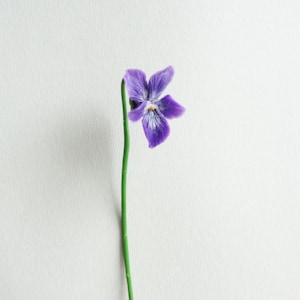 Violet Flower Artificial Plant Realistic Flowers Wild Violets Clay ...