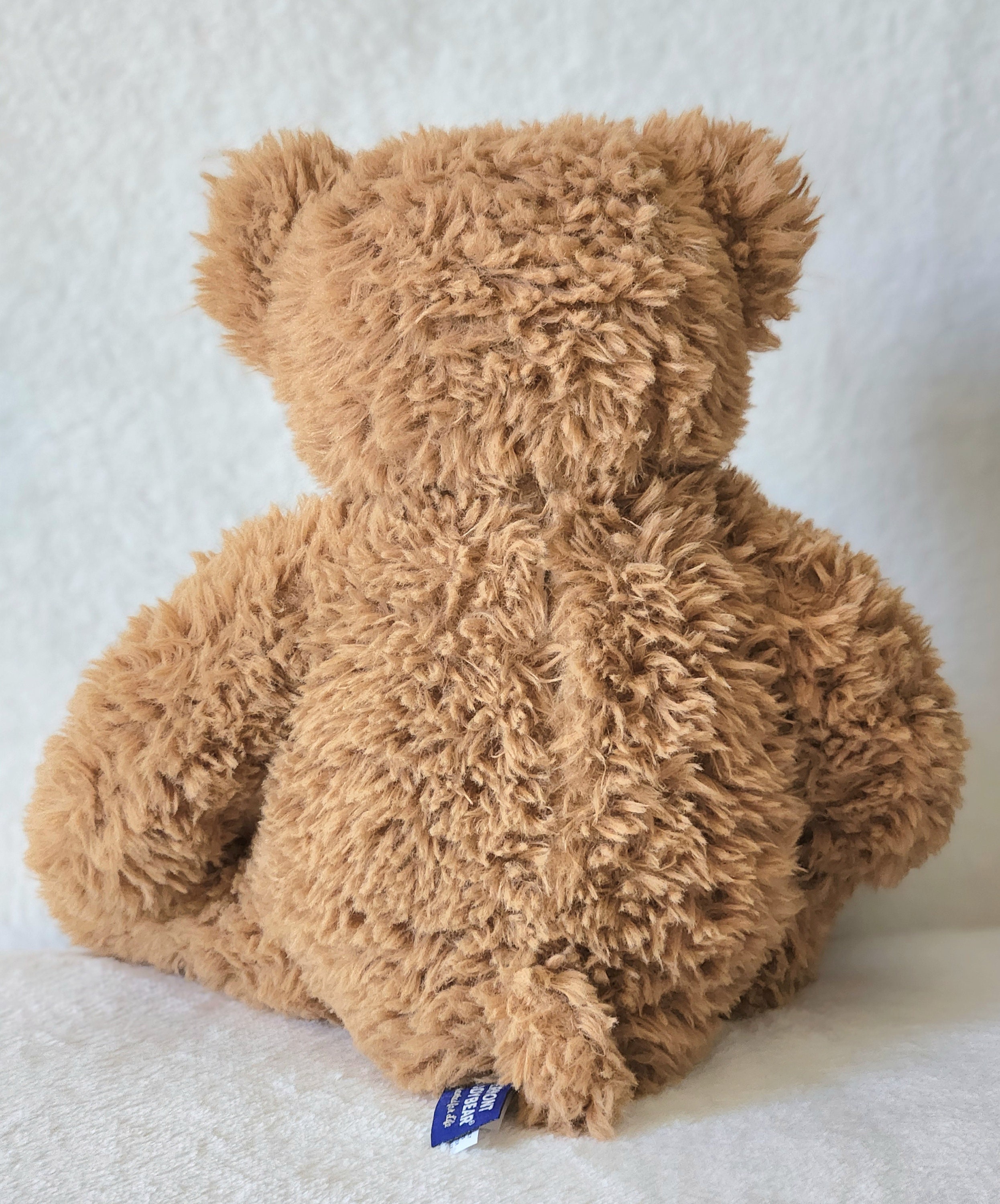 Teddy Bear Urn,huggable Urn,cremation Urn,memory Bear,urn for Child ...