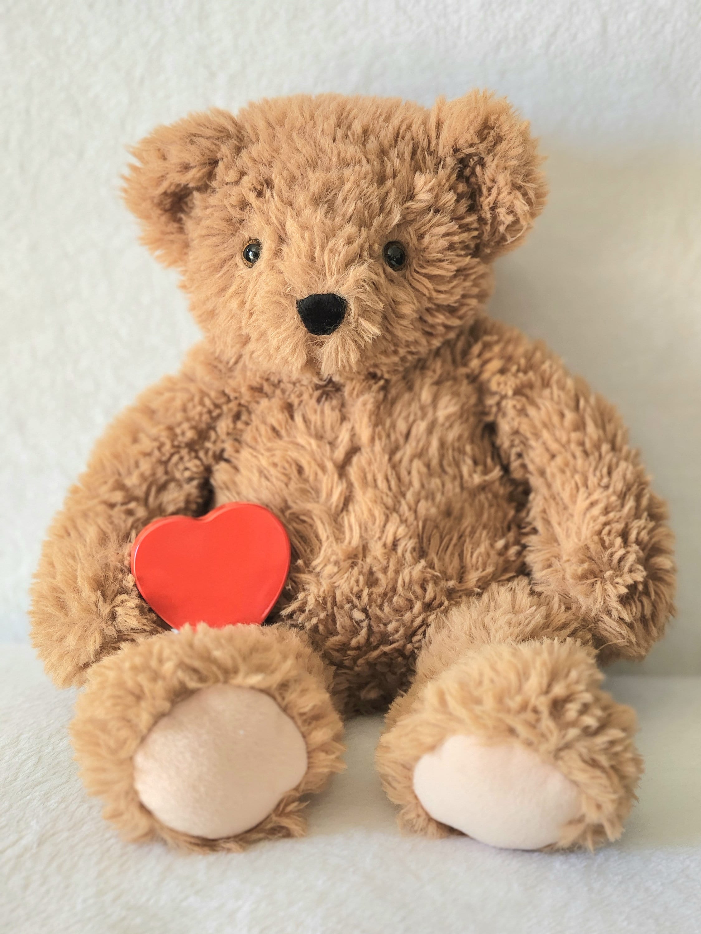 Teddy Bear Urn,huggable Urn,cremation Urn,memory Bear,urn for Child ...