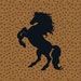 Rope Frame Border Machine Embroidery Design Country Western Cowboy ...