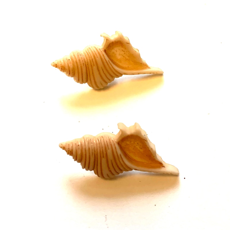 Seashell Dress - Etsy