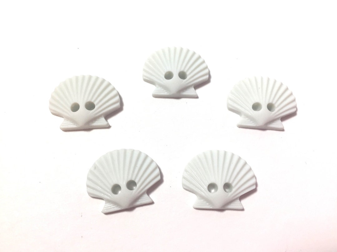 White Clam Shell Buttons Galore Fan Seashells Sea Shell Two - Etsy