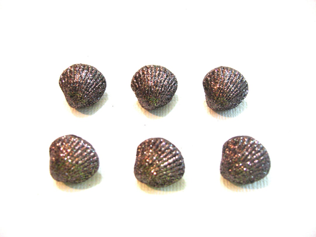 Glitter CLAM Seashells Buttons Sea Shells Shank Flat Back Choice Jesse ...
