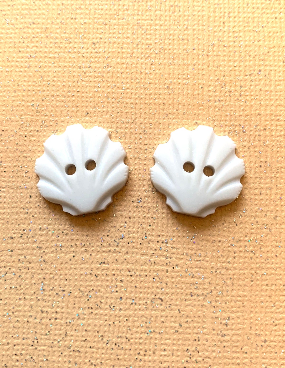 Mini White Fan Clam Shell Buttons Galore Fan Seashells Sea Shell Two ...