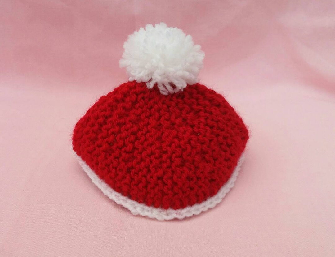 Santa Hat Tortoise Cosy, Pet Photo Prop, Pet Costume, Tortoise Costume ...