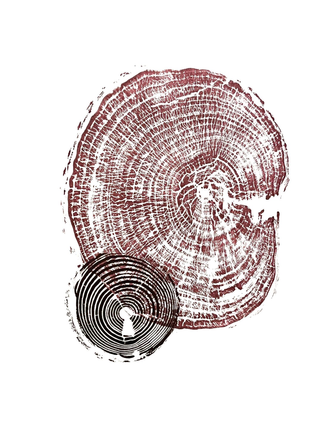 Generations Tree Ring Cross Section Print - Etsy