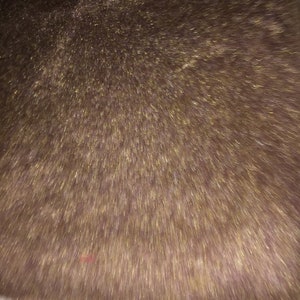 Pearl Louise Designs Cocoa Moose Kit - Makes Boy and Girl - DIY - READ ...