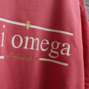 Watermelon Alpha Gamma Delta Comfort Color Sweatshirt With Press on ...