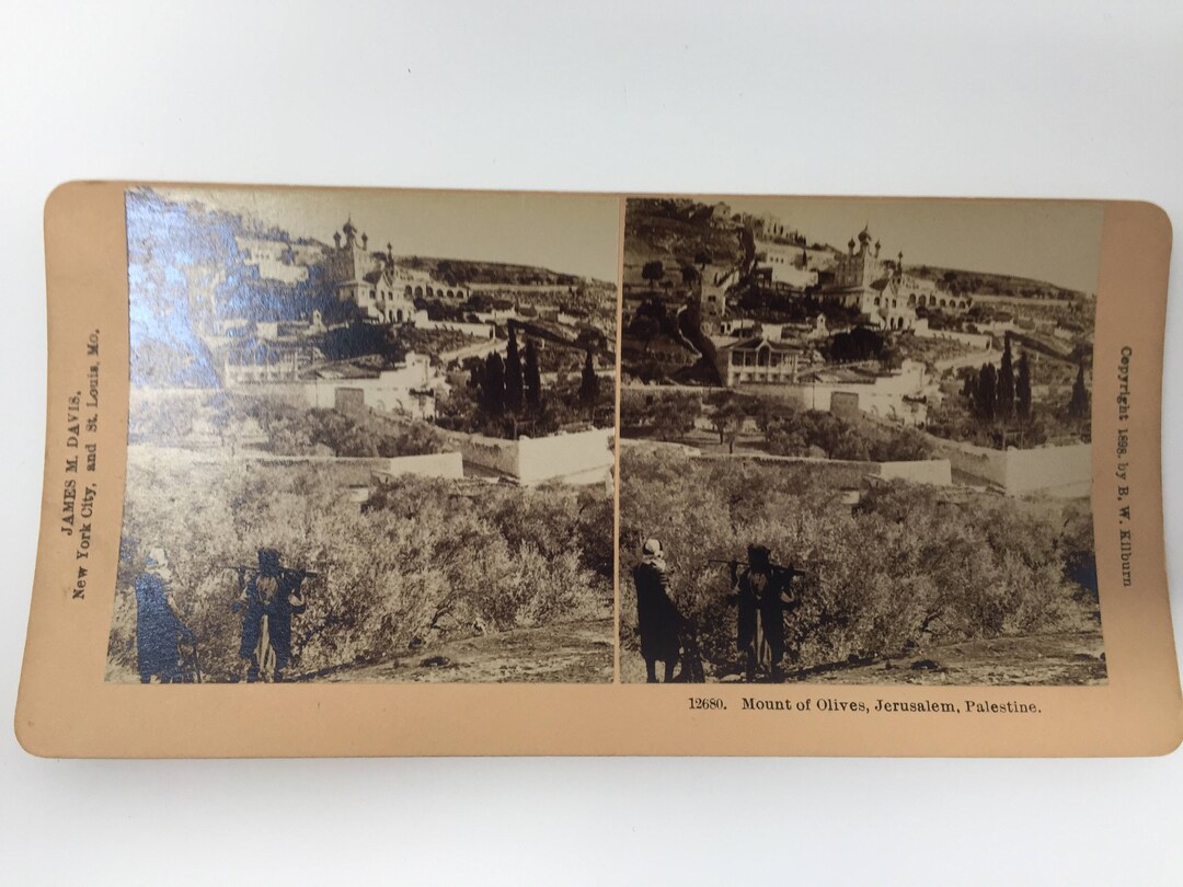 Antique Stereograph Card Mount of Olives, 1898, by B.W. Kilburn - Etsy