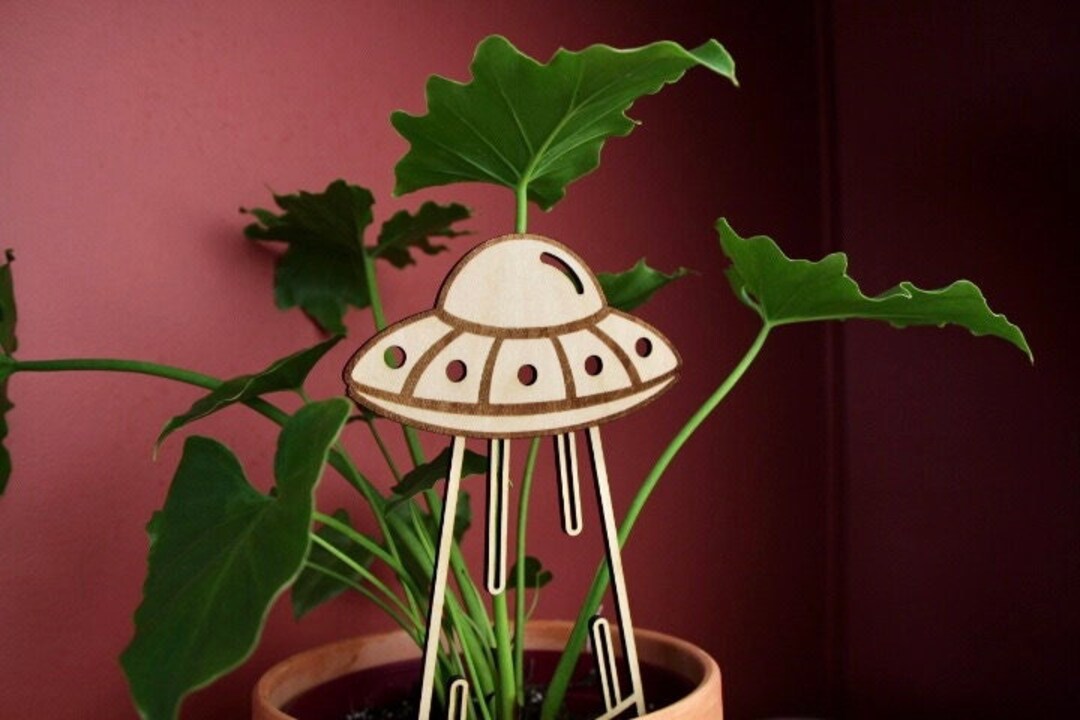 UFO Indoor Houseplant Trellis or Decoration - Cool Plant Trellis for ...