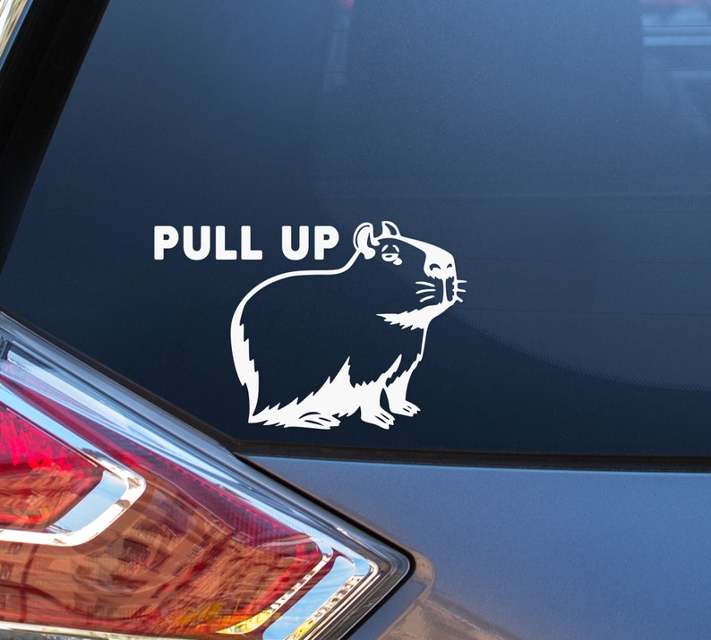 Capybara Bumper Sticker Pull up Capybara Vinyl Decal for - Etsy
