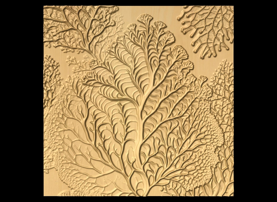Bas-relief "corals 3" 3D File for CNC - Etsy