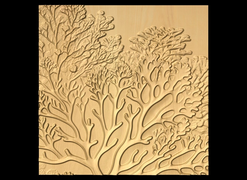 Bas-relief corals 8 3D File for CNC - Etsy