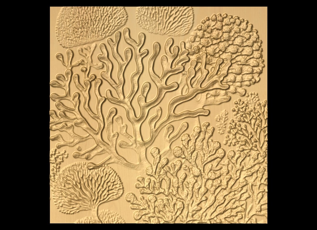 Bas-relief "corals 2" 3D File for CNC - Etsy