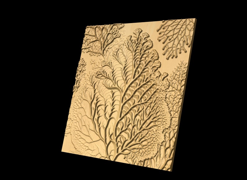 Bas-relief corals 3 3D File for CNC - Etsy