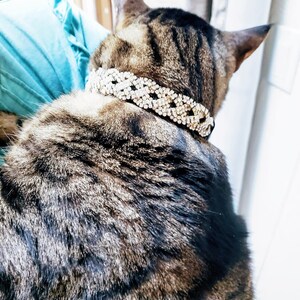Rhinestone Braid Cat Collar: Fancy Bling Cat Collar; Fancy Breakaway ...