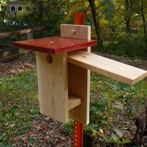 Raw Cedar Eastern Bluebird / Chickadee Nesting Box / Birdhouse With ...