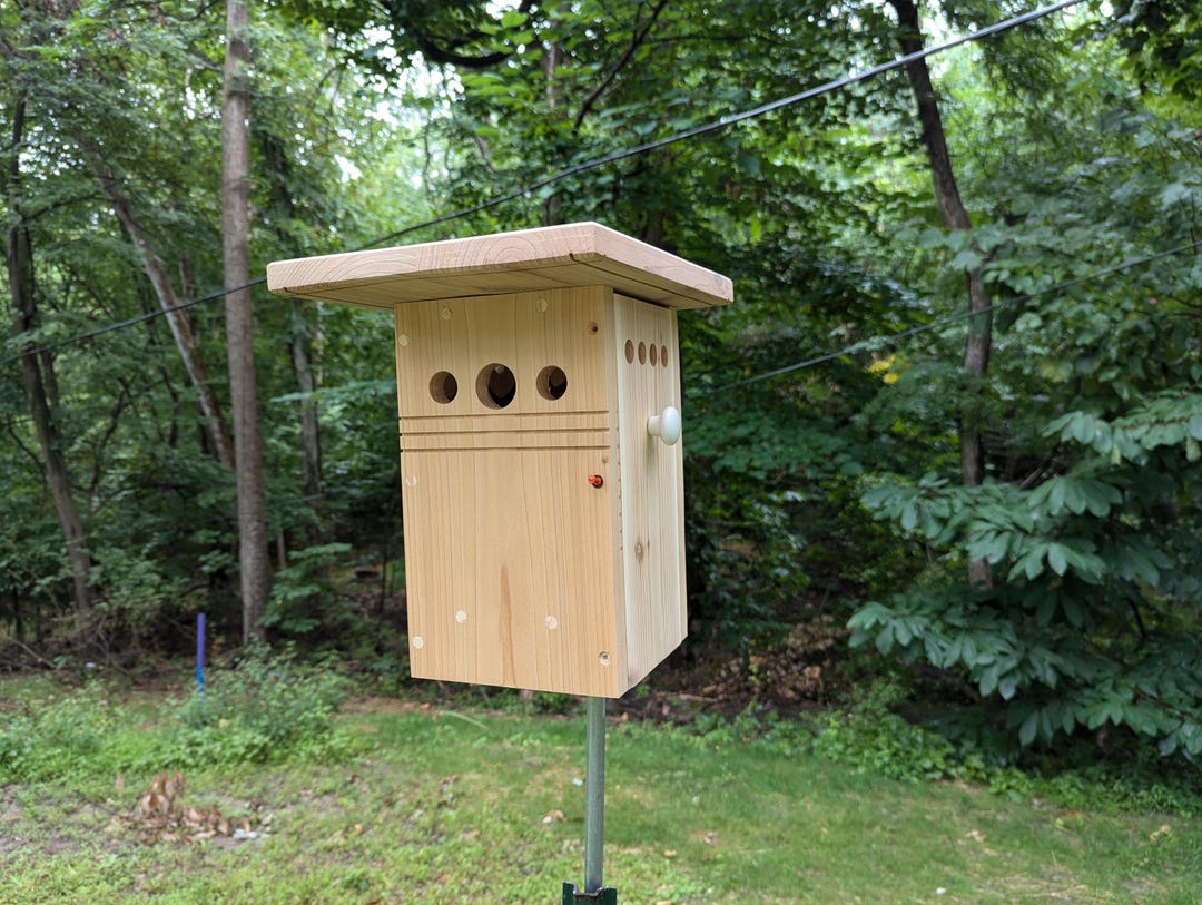 Deluxe Cedar TREE SWALLOW Nesting Box/birdhouse - Larger Interior Space ...