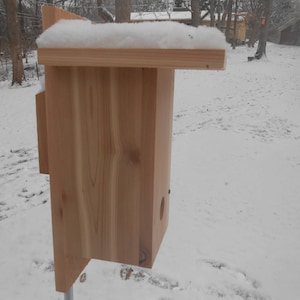 Cedar Songbird Roosting Box - With Cleanout - Etsy