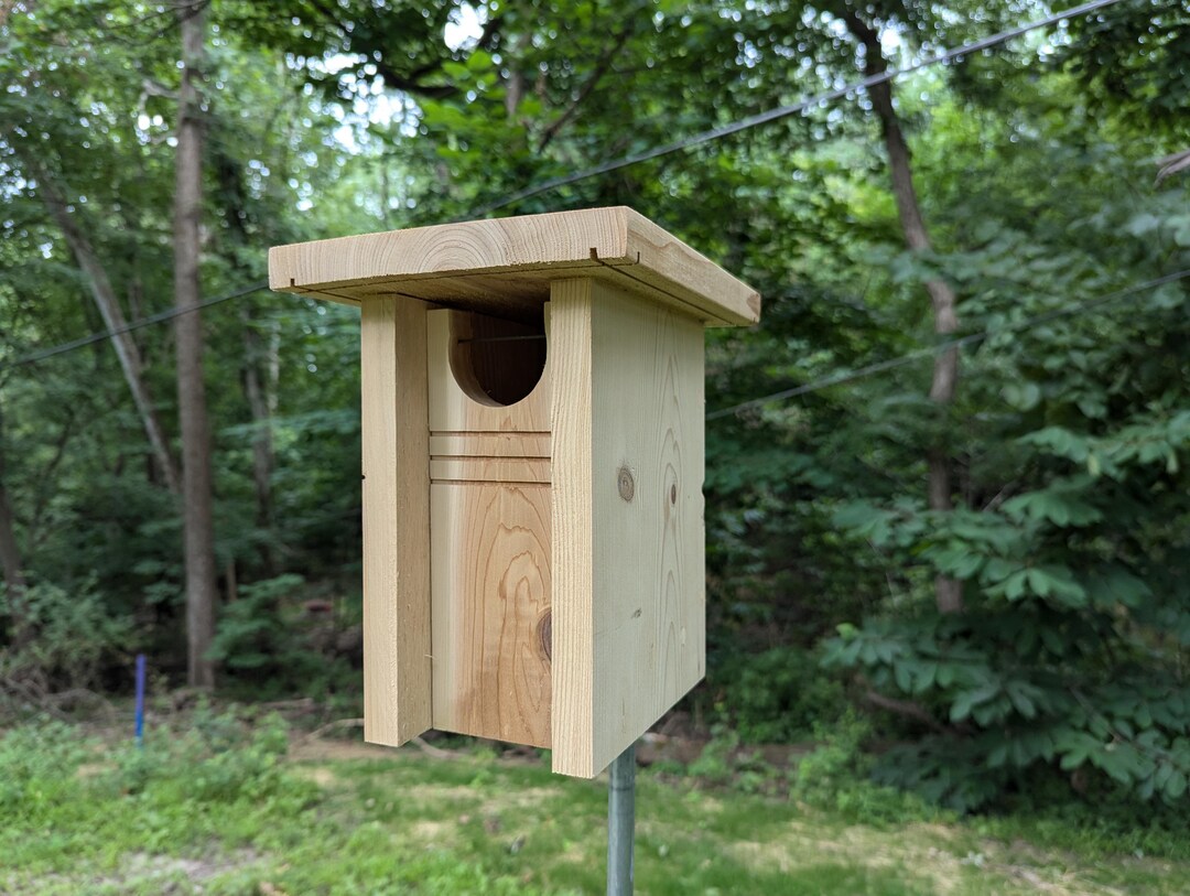 Cedar Original Style Gilwood Bluebird Nesting Box/birdhouse - With ...