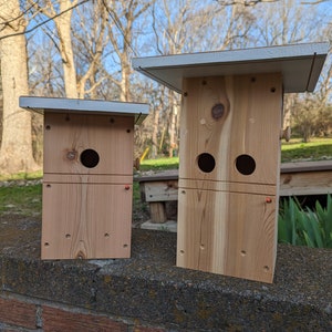 Deluxe camera READY Cedar Bluebird Nest Box - Etsy