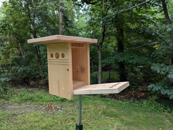 Swallow Nest Box Placement