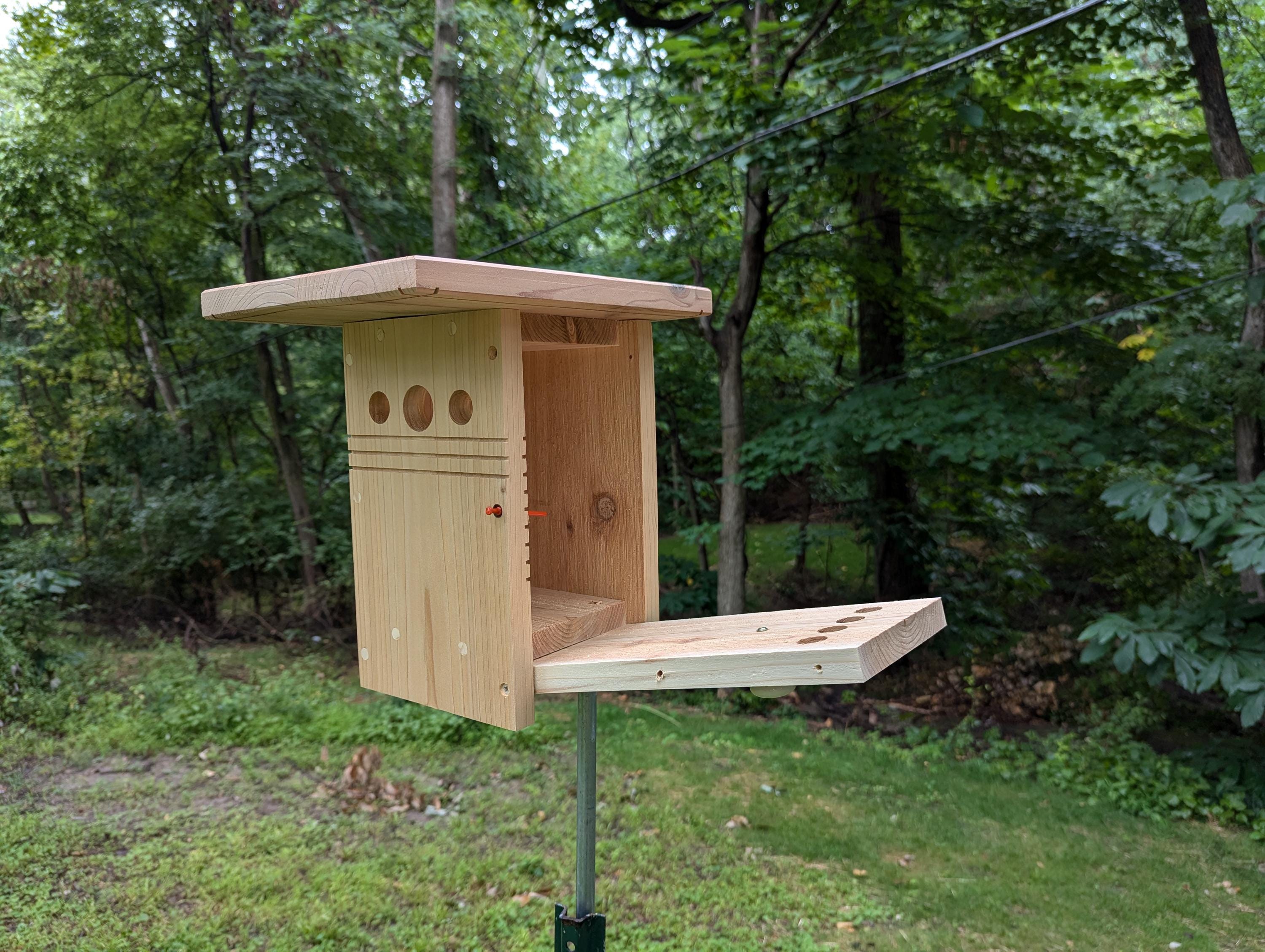 Deluxe Cedar TREE SWALLOW Nesting Box/birdhouse - Larger Interior Space ...