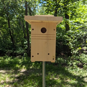 Prothonotary Warbler Nesting Box (cornell Lab Design) - Etsy