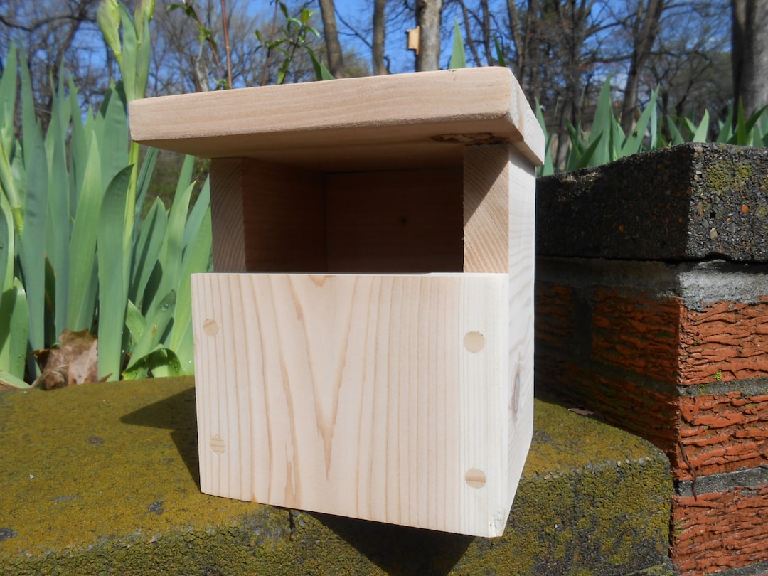 Cedar Carolina Wren Nesting Box / Birdhouse - Etsy