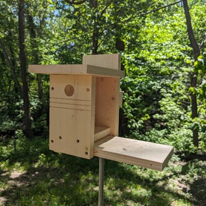 Prothonotary Warbler Nesting Box (cornell Lab Design) - Etsy