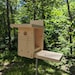 Prothonotary Warbler Nesting Box cornell Lab Design - Etsy