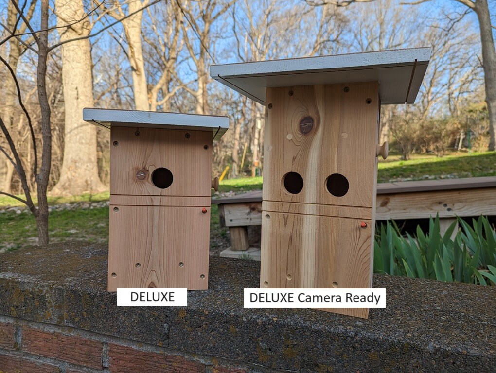 Deluxe Cedar Bluebird Nesting Box/birdhouse - Larger Interior Space ...