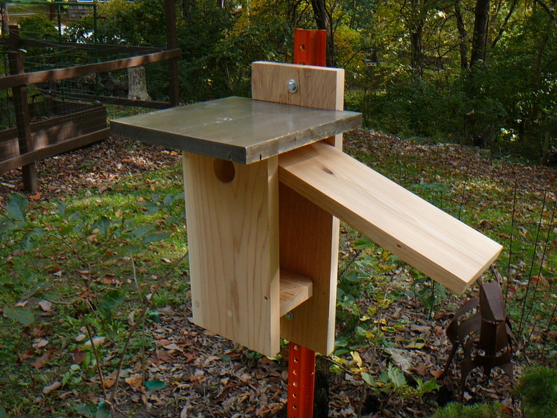 Raw Cedar Eastern Bluebird / Chickadee Nesting Box / Birdhouse - Etsy