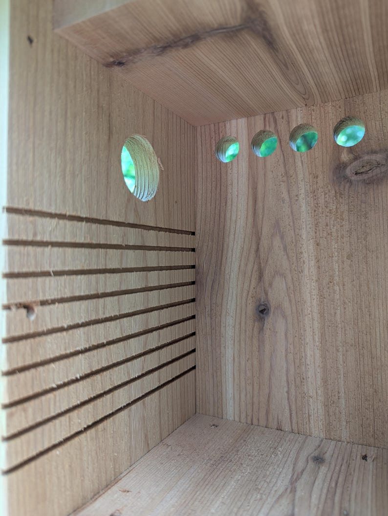 Deluxe Cedar Bluebird Nesting Box/birdhouse - Larger Interior Space ...