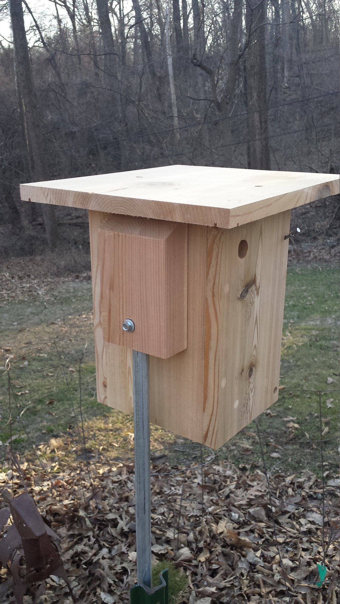 Cedar Gilwood II Style Bluebird Nesting Box/birdhouse - With Cleanout ...