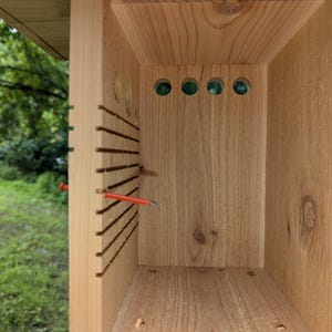 Deluxe Cedar TREE SWALLOW Nesting Box/birdhouse - Larger Interior Space ...