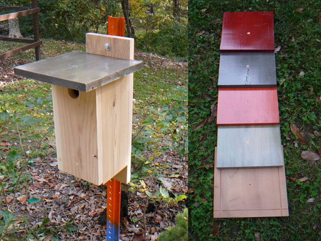 Raw Cedar Eastern Bluebird / Chickadee Nesting Box / Birdhouse - Etsy