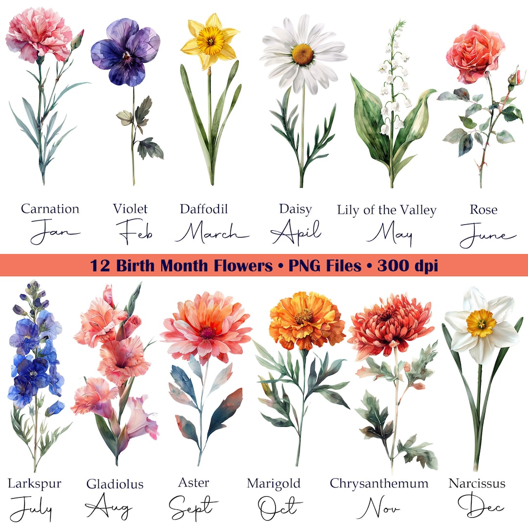 Birth Month Flowers, 12 PNG Files for Birthday, Birth Flowers ...