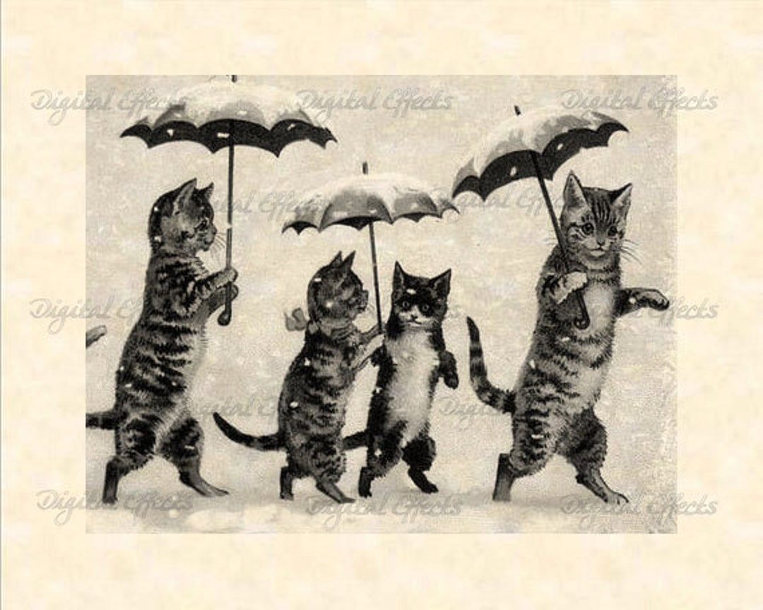 CAT EPHEMERA Instant Digital Download Vintage Cat Iron-on - Etsy