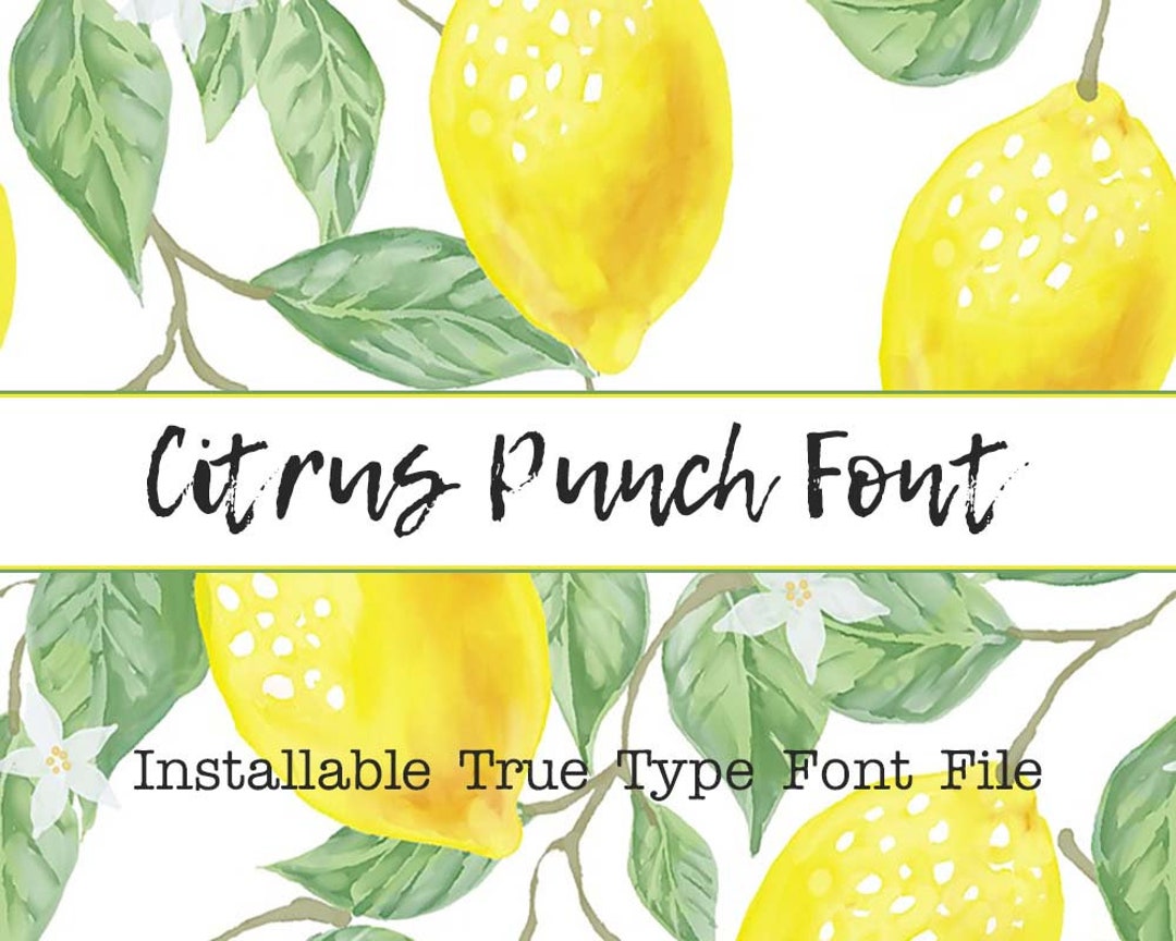 Script Font, Citrus Punch TTF, Installable True Type Font, Commercial ...