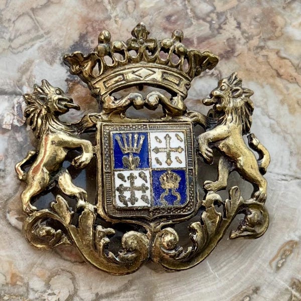 Lion Crest Brooch - Etsy