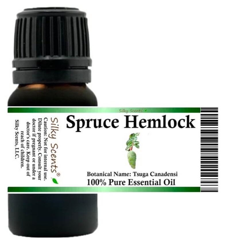 Silky Scents Spruce Hemlock Essential Oil (tsuga Canadensi) 100% Pure ...